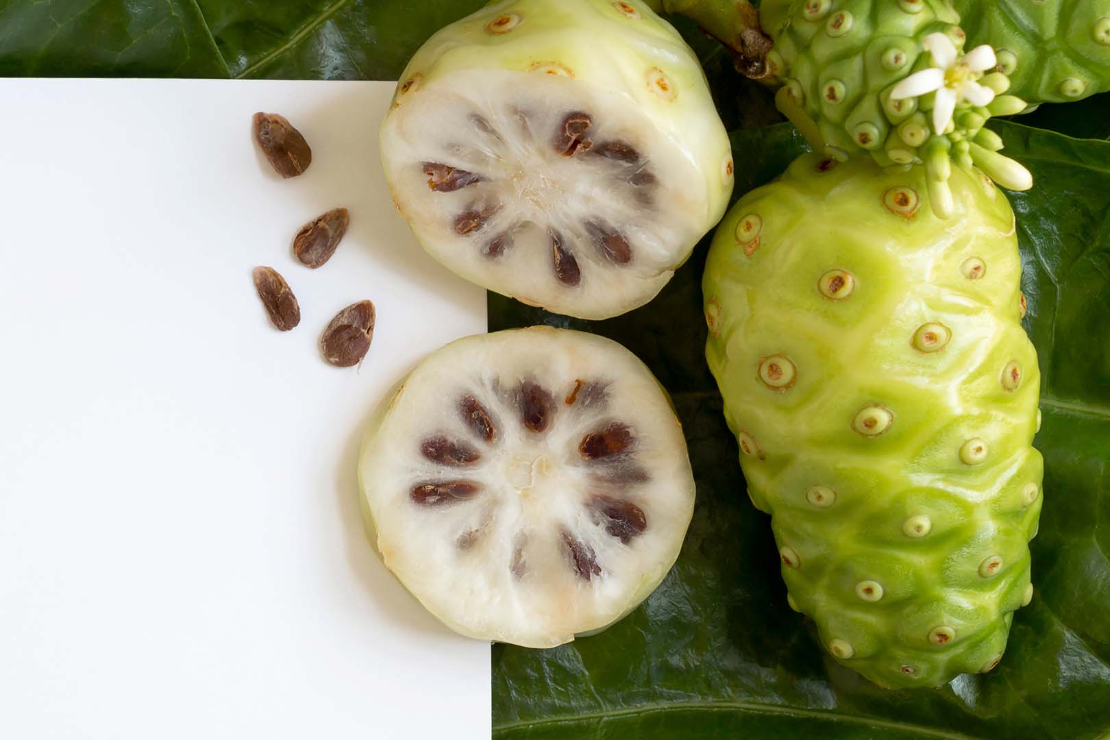 5 Manfaat Mengkudu, Mudah Dikonsumsi