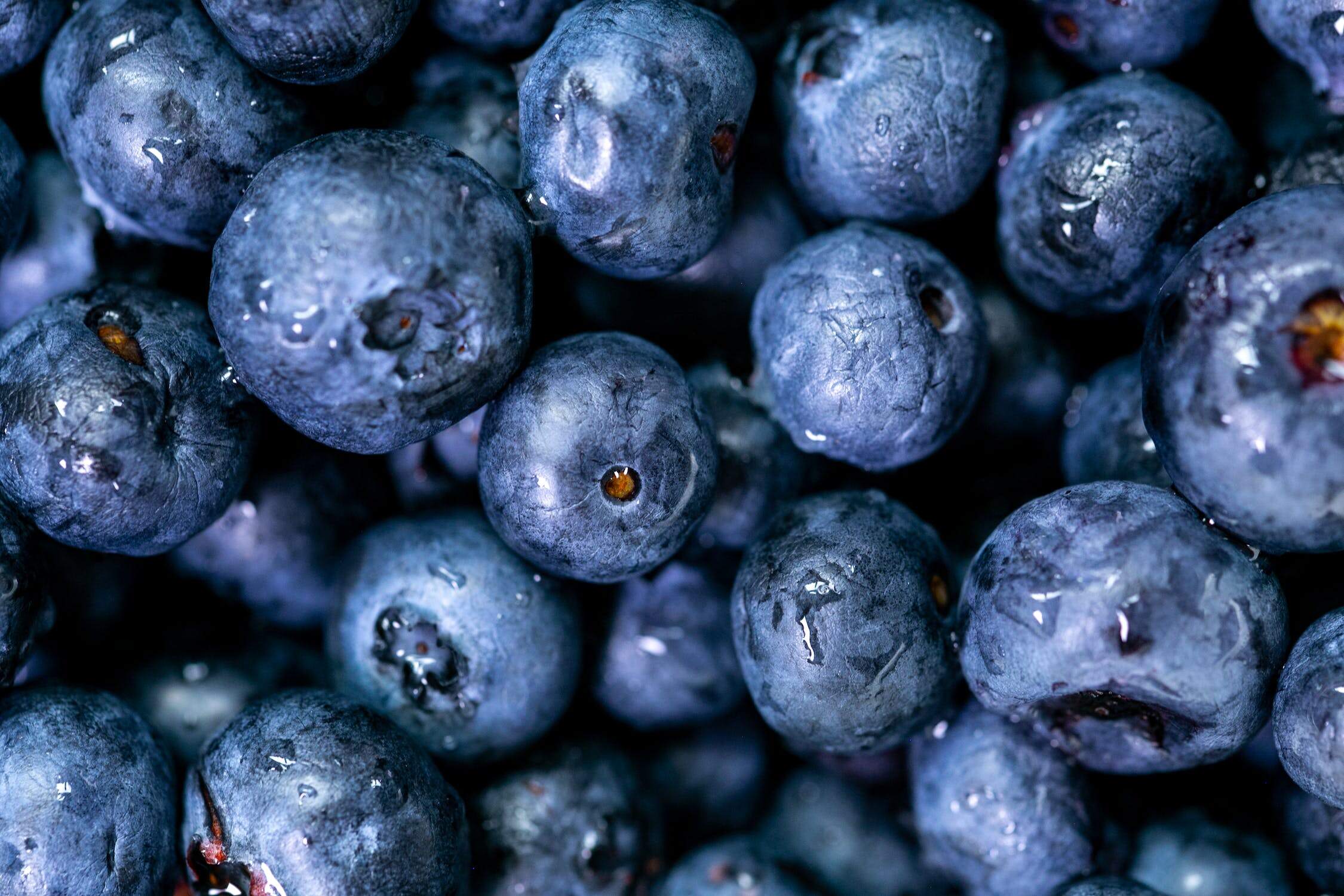 Fruit of The Year, 6 Manfaat Bluberry Alternatif Antioxidant Imun