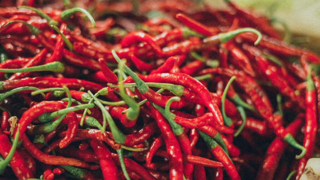 Siap Panen? Ini Jenis Cabe yang Bisa Ditanam Sendiri di Rumah