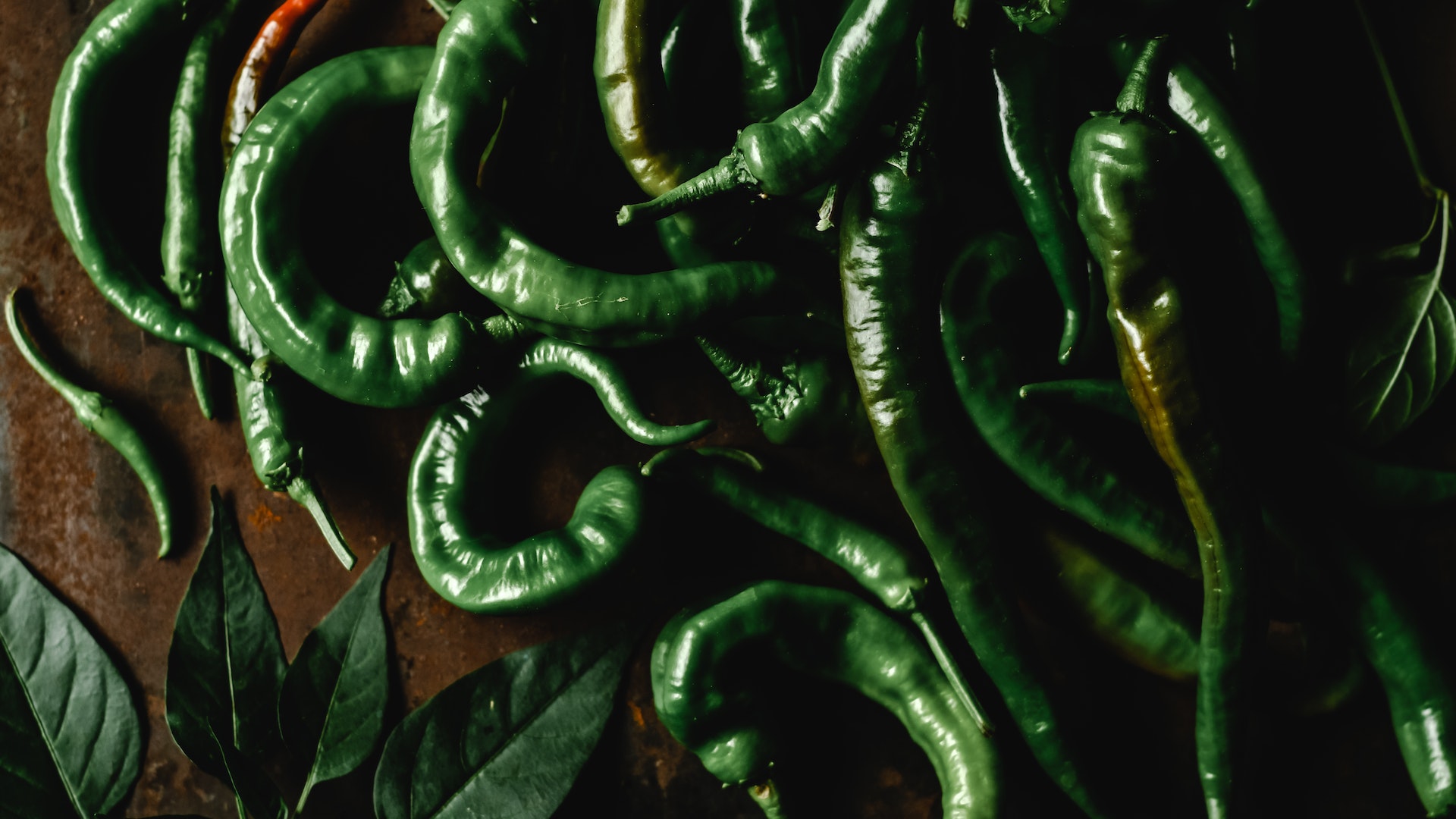 Jenis Cabai yang Mudah Dipanen di Rumah Sendiri - fitmeup.id